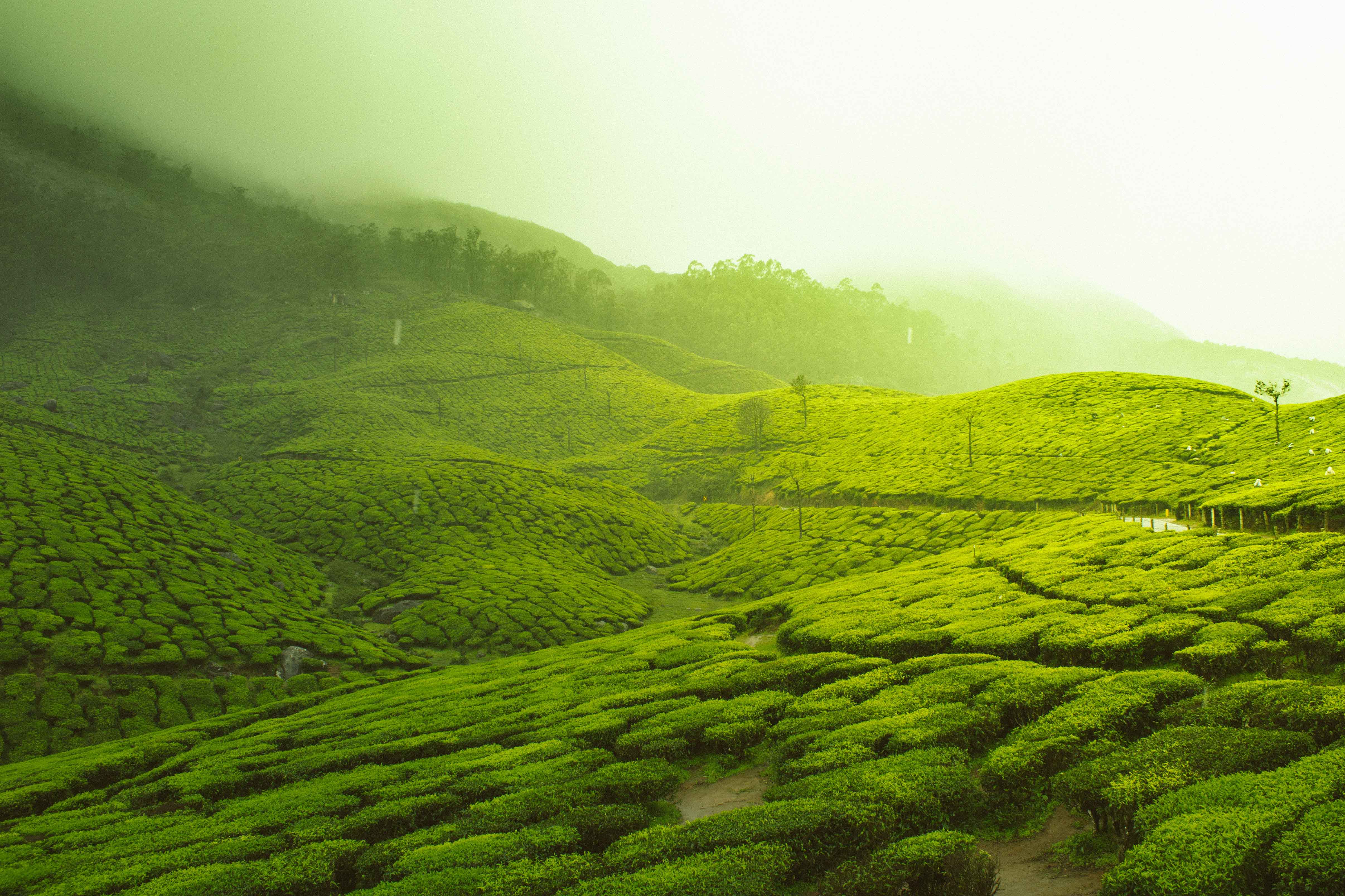 A Guide to Indian Landscape Photography | Photojaanic